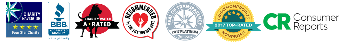 Fistula Foundation : Help give a woman a new life.